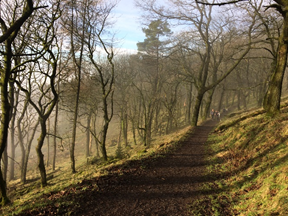 Bev’s Favourite Walks – North Cheshire Nordic Walking